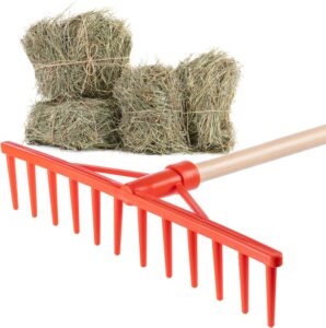 Encuentra Tipos de Rastrillos para jardinería y para huerto 👨🏻‍🌾🍂